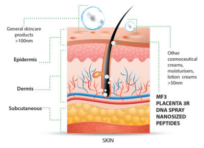 Placenta 3R DNA Spray - MF3 SWISS SHOP